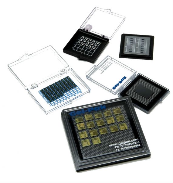 Gel-Pak Singapore | Innovative Packaging For Valuable Devices